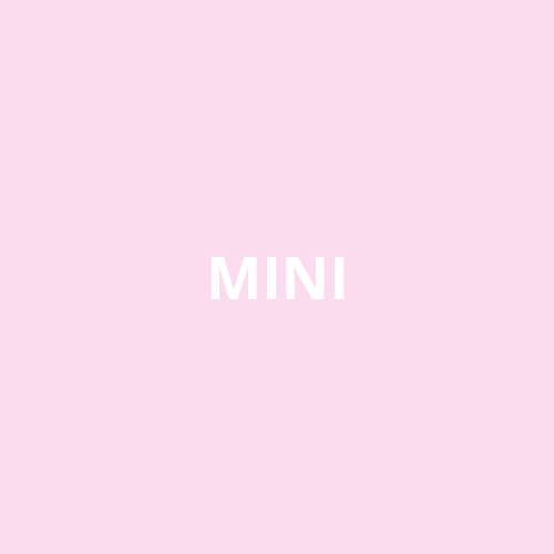 Mini – Clean Seoul